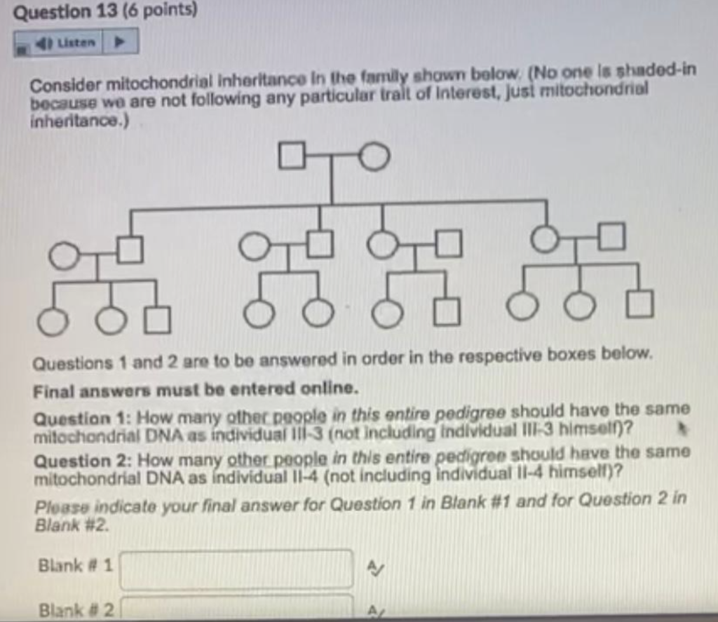 Solved Question 13 (6 points) Listen Consider mitochondrial | Chegg.com