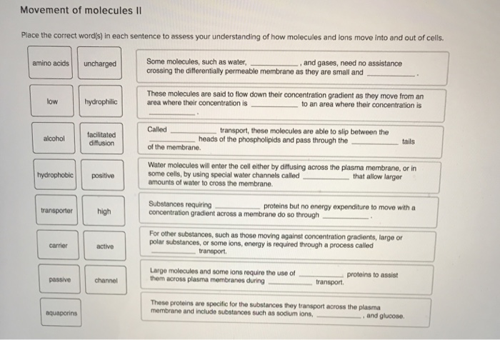 Solved Movement of moleculesI Place the correct words) in | Chegg.com