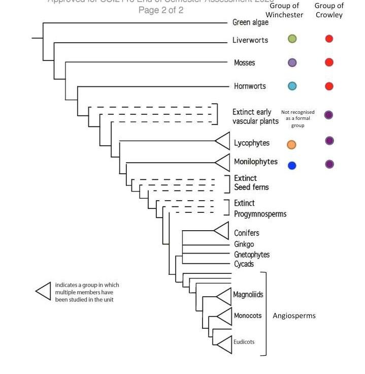 Two (fictional) systematists, Dr Winchester and Prof. | Chegg.com