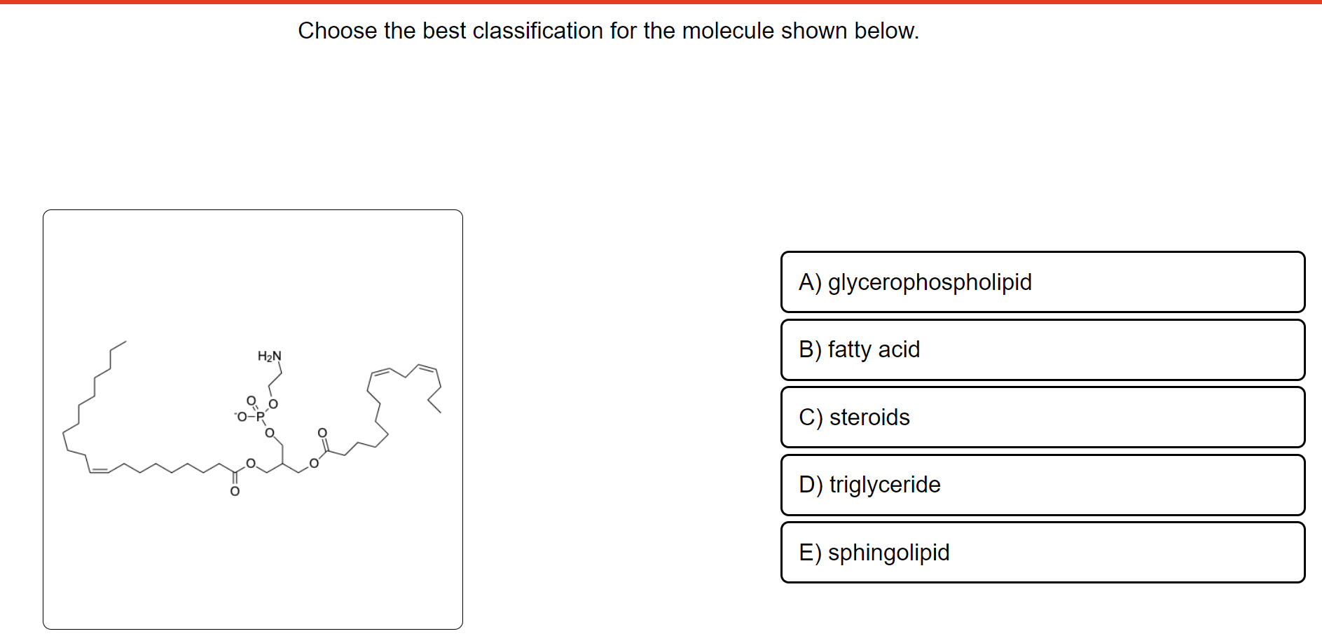 Choose the best classification for the molecule shown | Chegg.com Choose the best classification for the molecule shown | Chegg.com