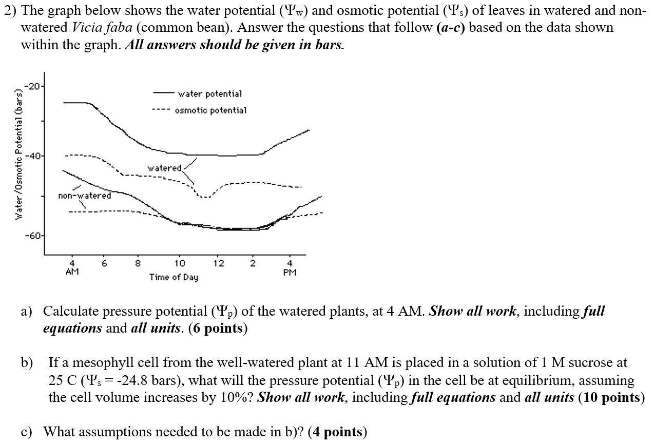 2) The graph below shows the water potential (Yw) and | Chegg.com
