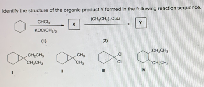 Solved Identify the structure of the organic product Y | Chegg.com