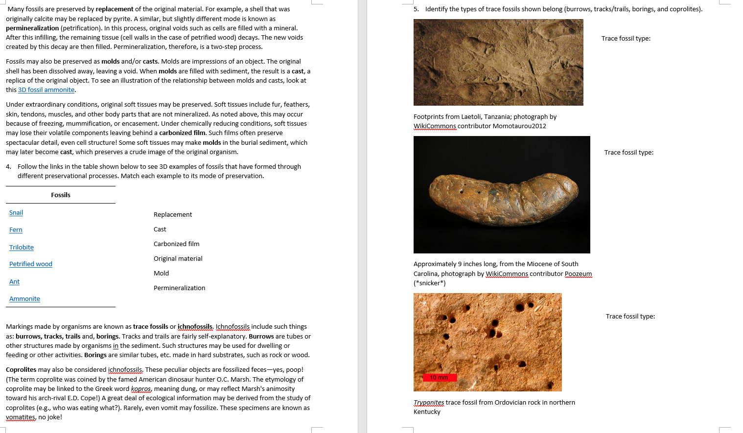 Solved Taphonomy is the general name for the study of | Chegg.com