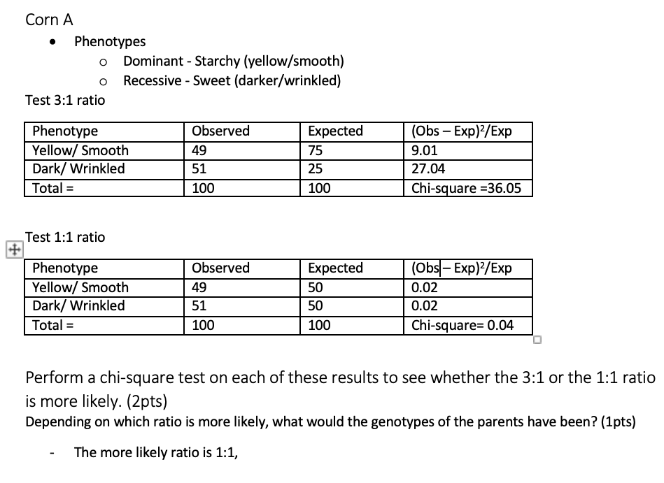 Solved + Corn A • Phenotypes Dominant - Starchy | Chegg.com