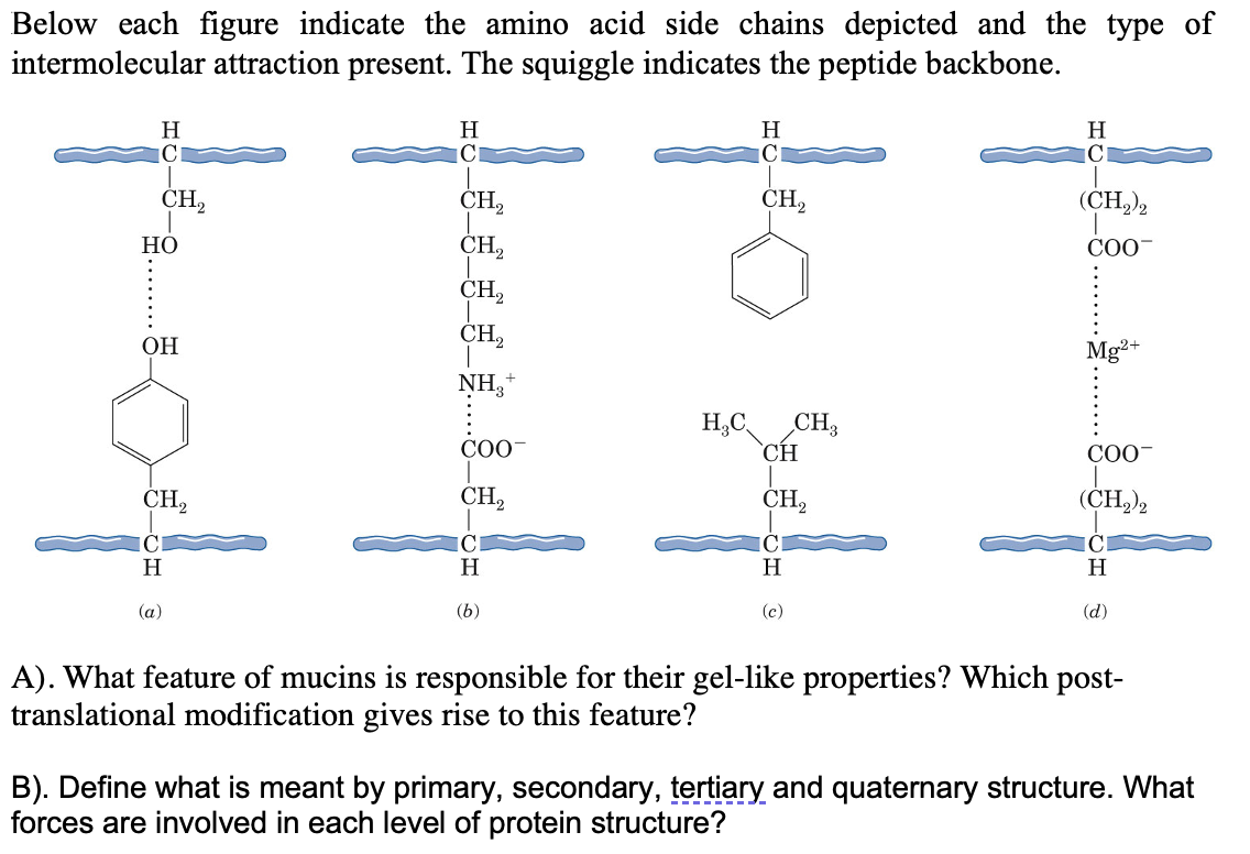 Solved Predict what kind of intermolecular force would | Chegg.com
