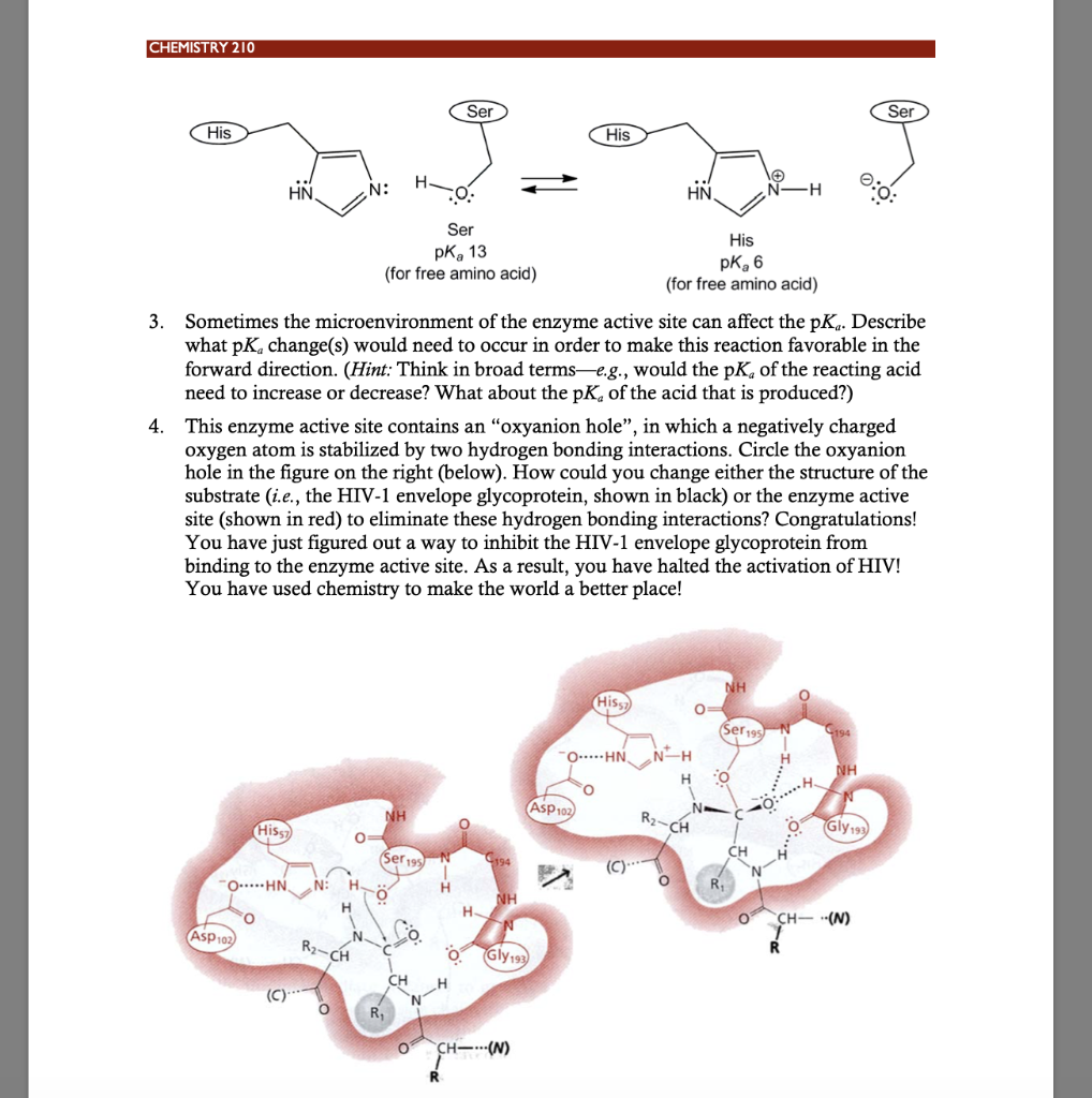 Solved CHEMISTRY 210 Ser Ser His His H HN N: HN Ser pK, 13 | Chegg.com