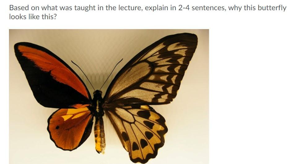 Solved Based on what was taught in the lecture, explain in | Chegg.com
