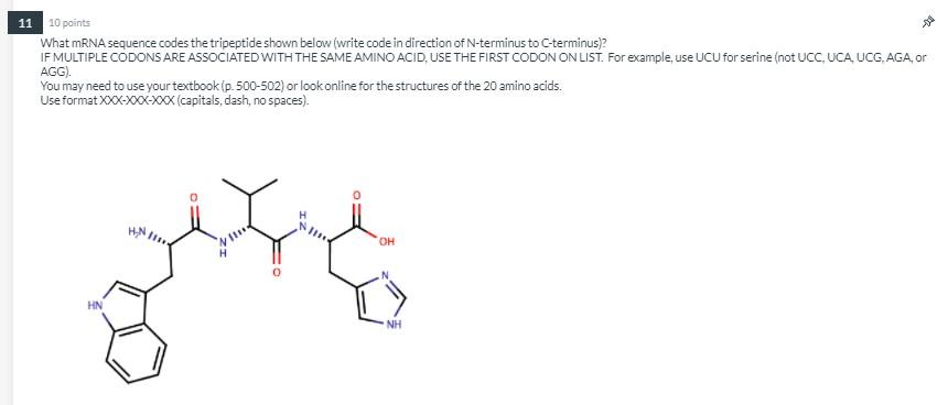 Solved 11 10 points What mRNA sequence codes the tripeptide | Chegg.com