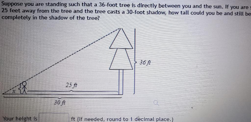 Solved Suppose you are standing such that a 36-foot tree is | Chegg.com