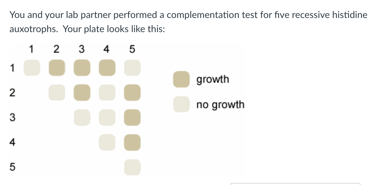 Solved You and your lab partner performed a complementation | Chegg.com