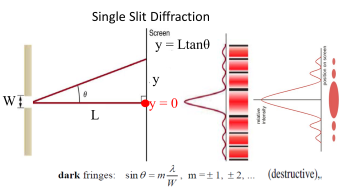 Solved The general single-slit experiment is shown in In a | Chegg.com