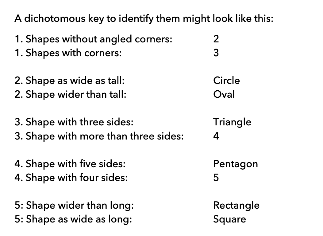 Solved With the given information, create dichotomous key | Chegg.com