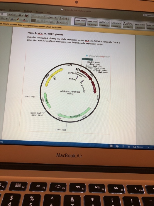 Solved 8. Using the maps provided to you, develop a cloning | Chegg.com