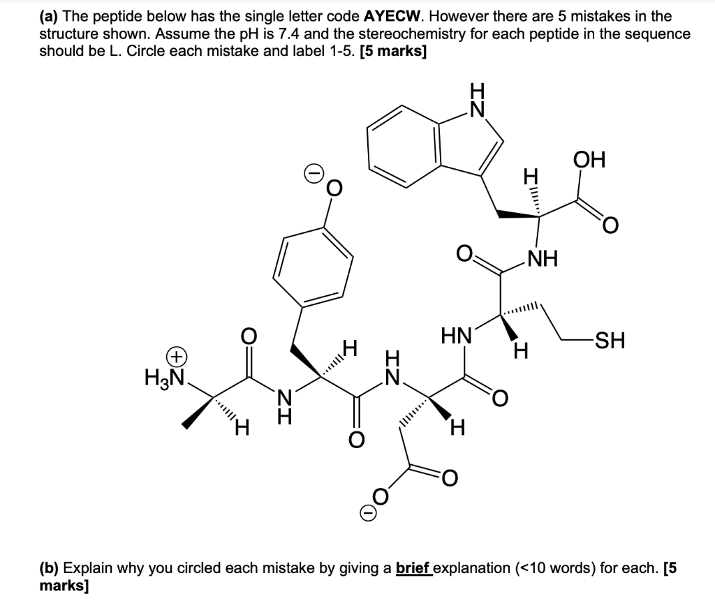 Solved (a) The peptide below has the single letter code | Chegg.com