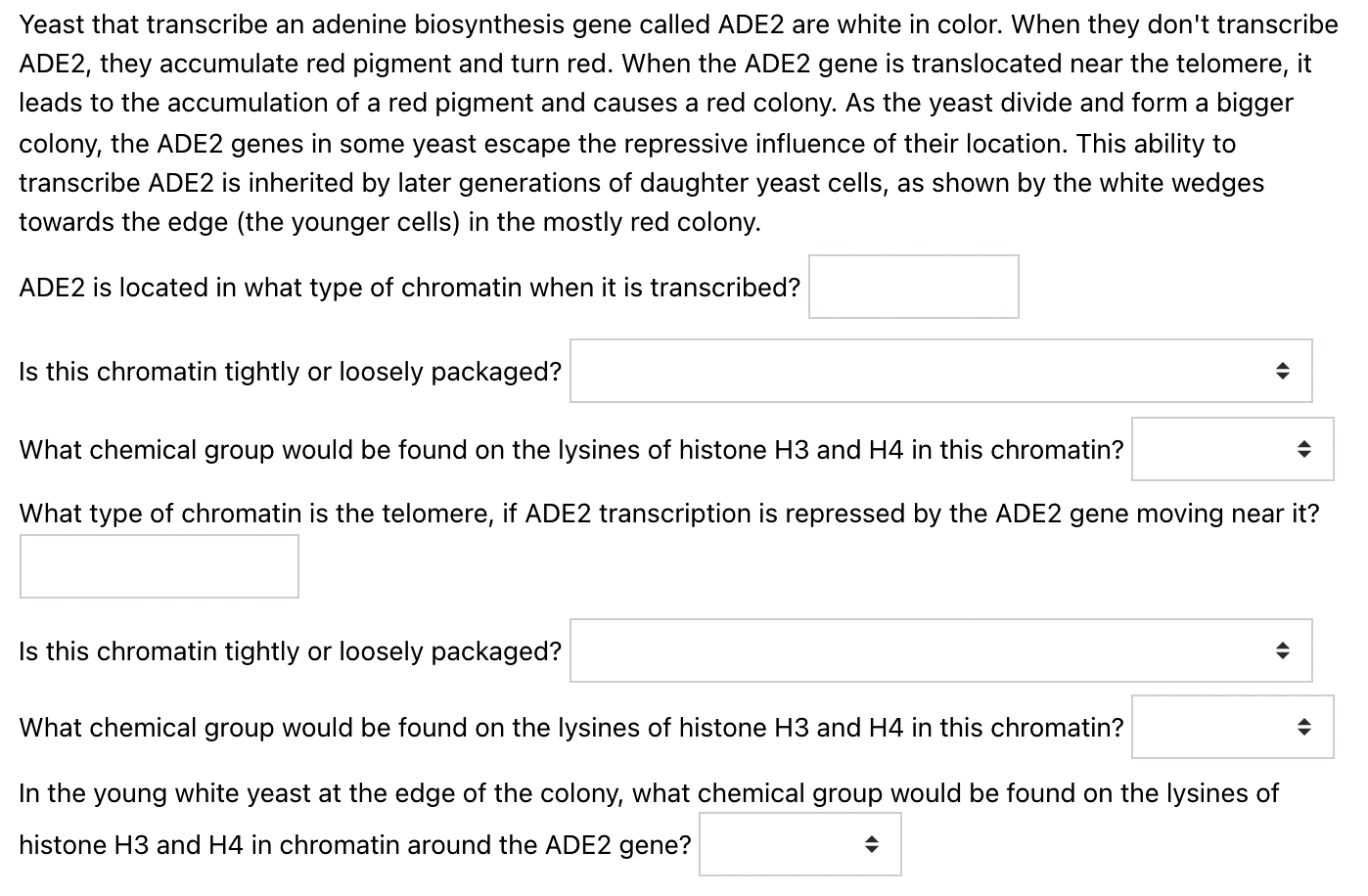 Solved Yeast that transcribe an adenine biosynthesis gene | Chegg.com