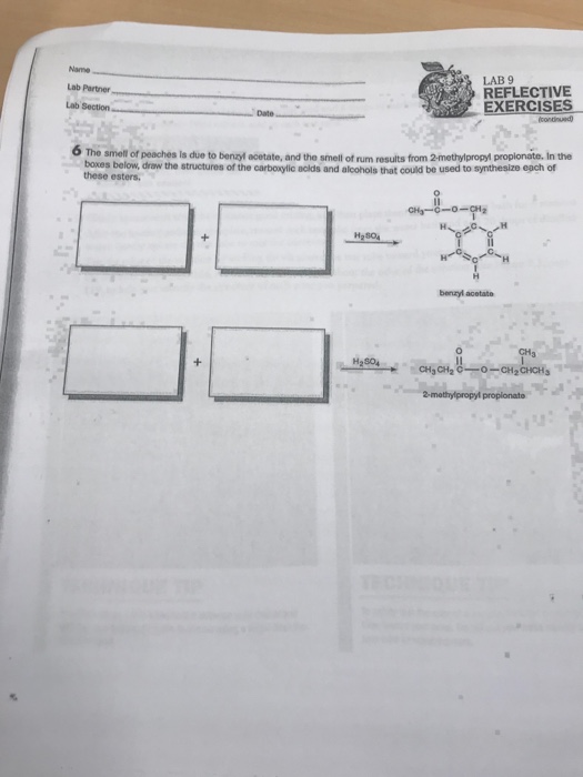 Solved Name Lab Partner Lab Section PRELABORATORY 9 Date | Chegg.com Solved Name Lab Partner Lab Section PRELABORATORY 9 Date | Chegg.com