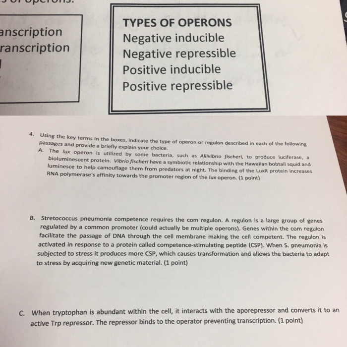 Solved TYPES OF OPERONS Negative inducible Negative | Chegg.com