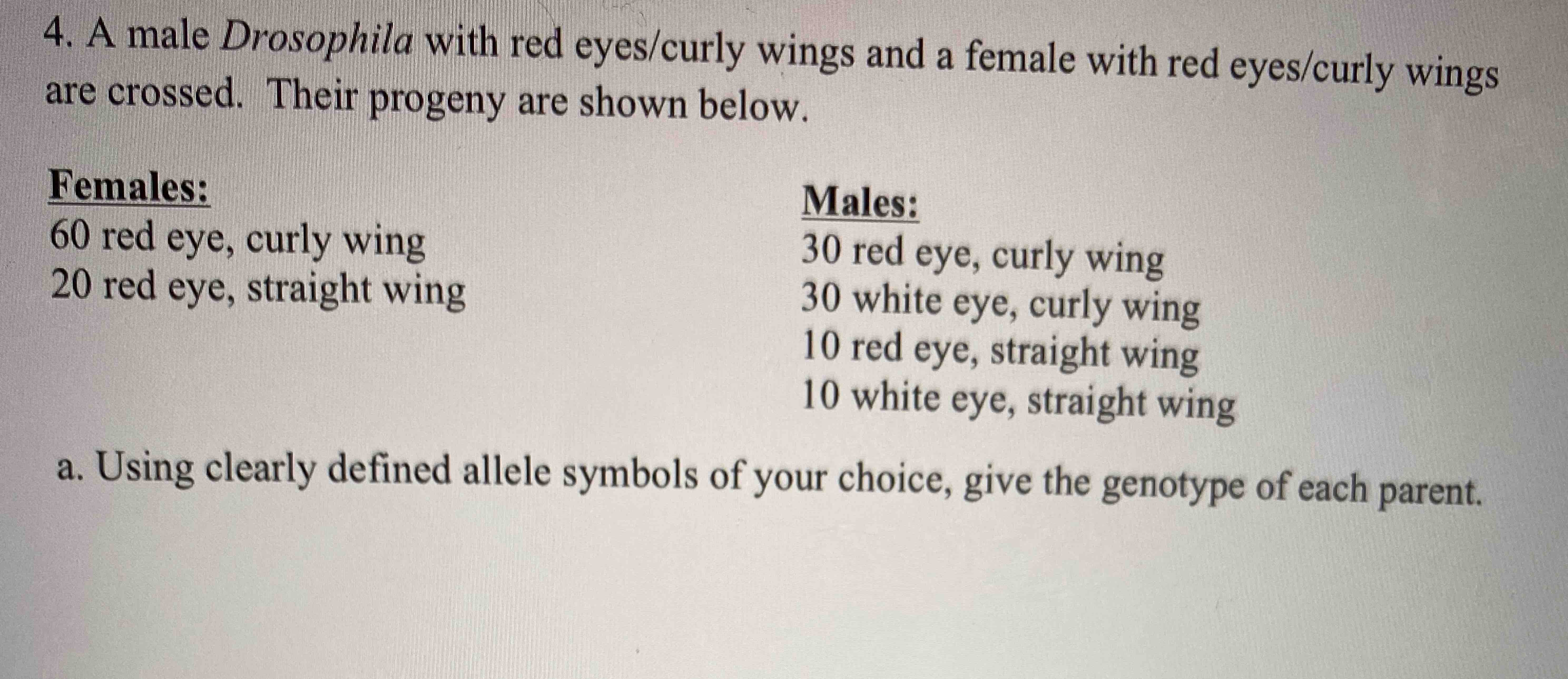 Solved A male Drosophila with red eyes/curly wings and a | Chegg.com