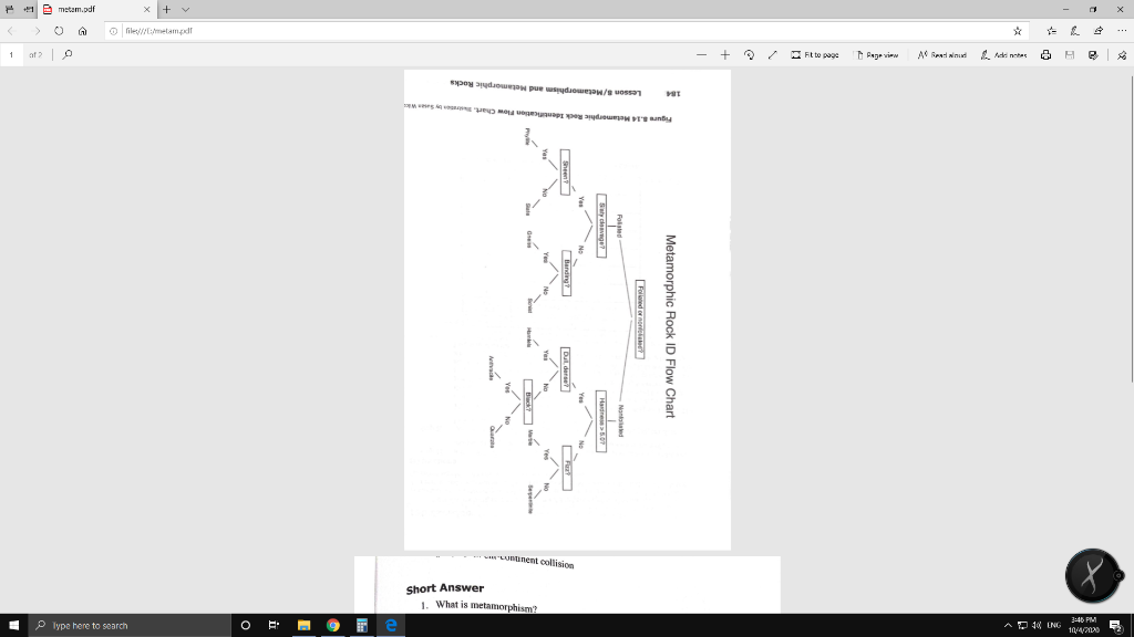 Solved metam.pdf tr ////metam.pdf ☺ A X ... of 2 - + Ft to | Chegg.com