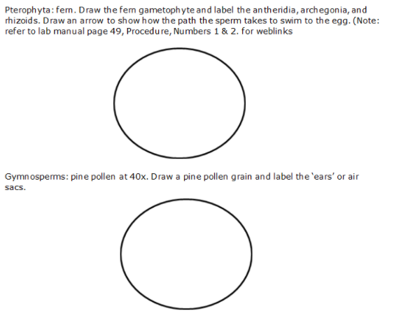 Solved Bryophyta: moss. Draw and label the sporophyte and | Chegg.com
