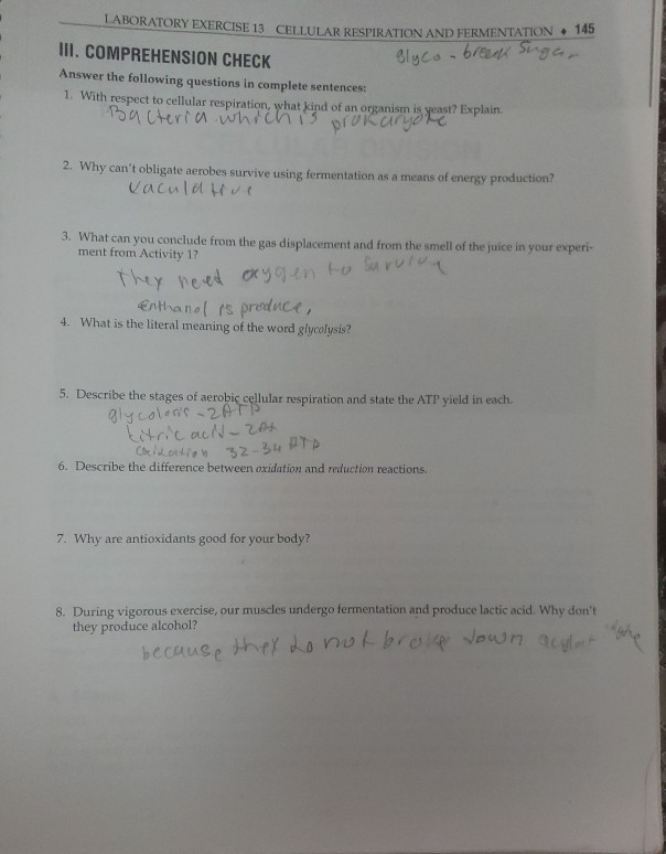 Solved LABORATORY EXERCISE 13 CELLULAR RESPIRATION AND Chegg Solved LABORATORY EXERCISE 13 CELLULAR RESPIRATION AND Chegg