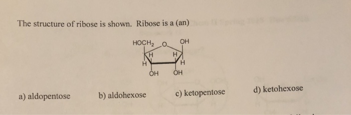 Solved The structure of ribose is shown. Ribose is a (an) | Chegg.com