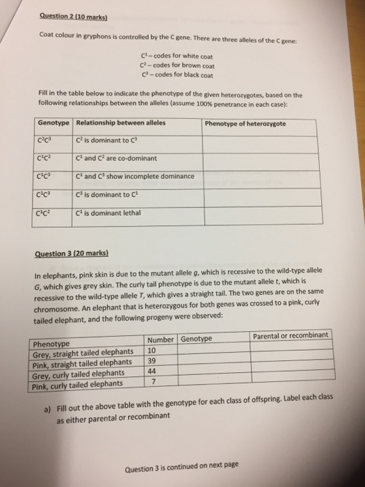 Solved Coat colour in gryphons is controlled by the C gene. | Chegg.com