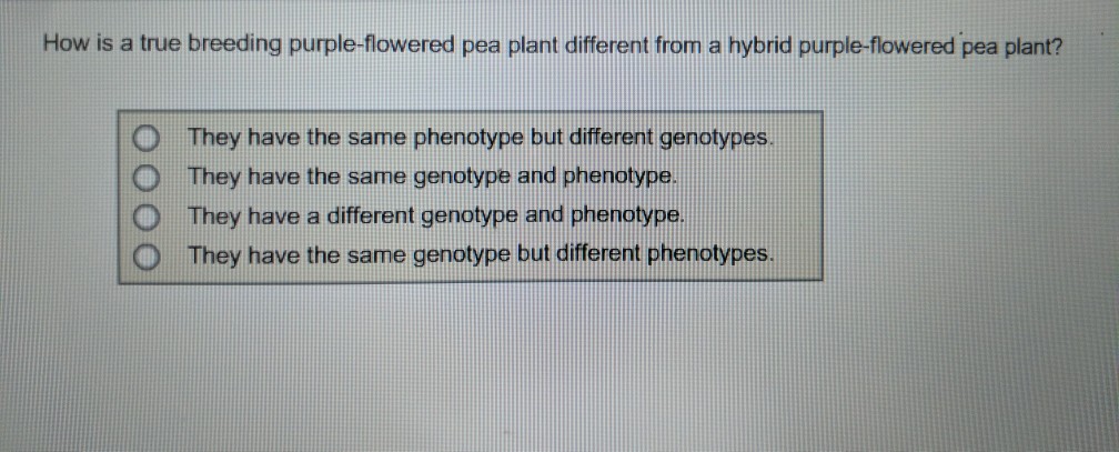 Solved How is a true breeding purple-flowered pea plant | Chegg.com