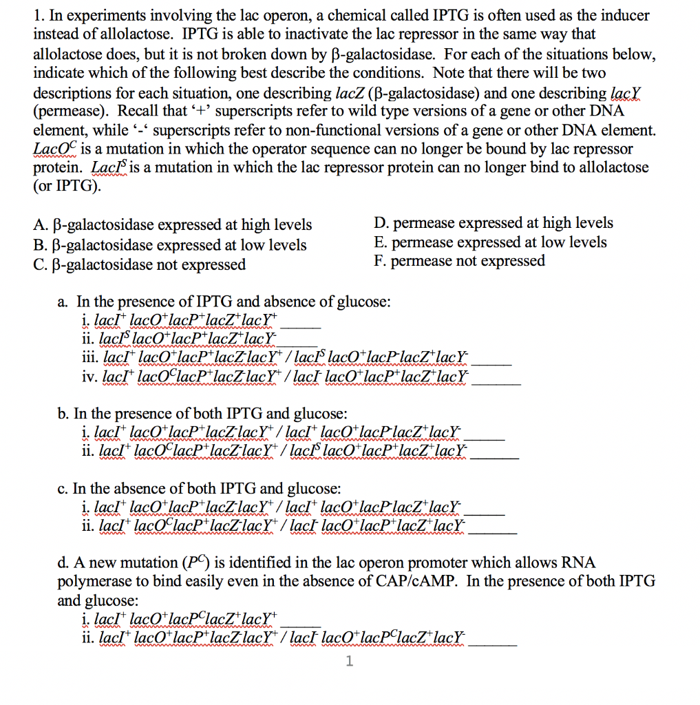 1. In experiments involving the lac operon, a | Chegg.com