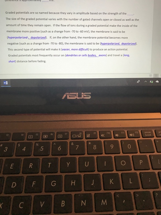 Solved Rmp And Graded P O Esign Layout References Mailings