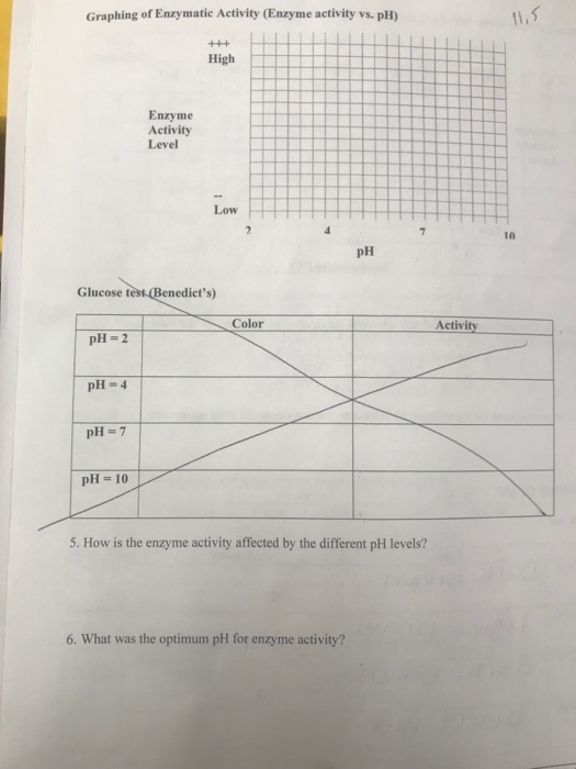 Solved C. EFFECT OF pH Starch test Color Activity pH-2 Dark | Chegg.com