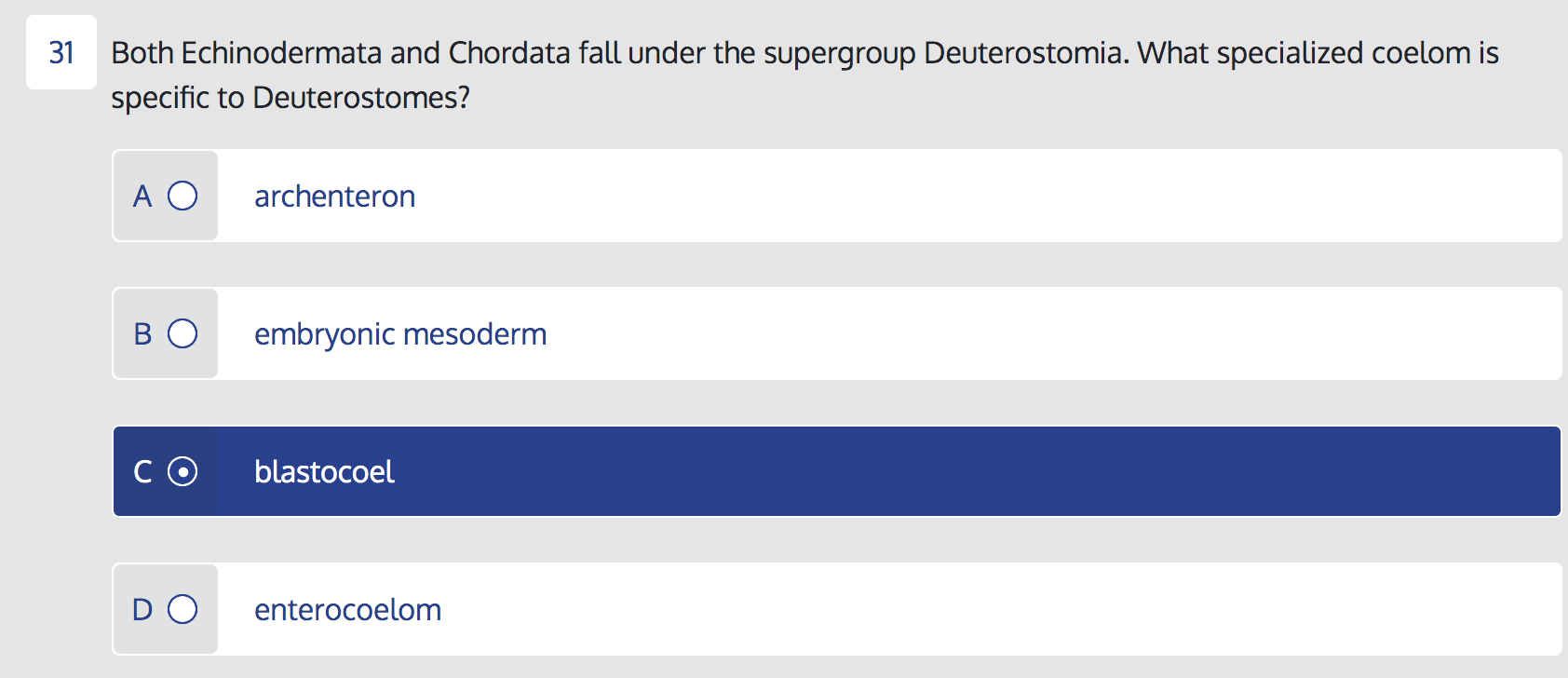 Solved Both Echinodermata and Chordata fall under the | Chegg.com