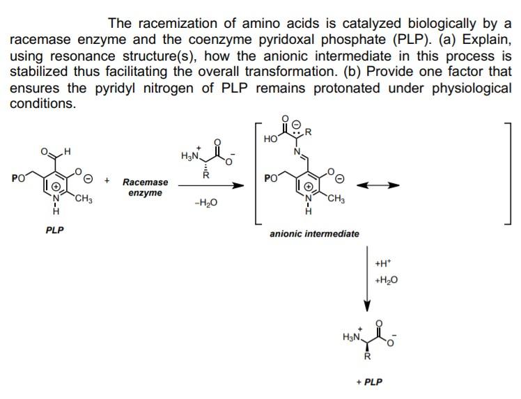 Solved The racemization of amino acids is catalyzed | Chegg.com