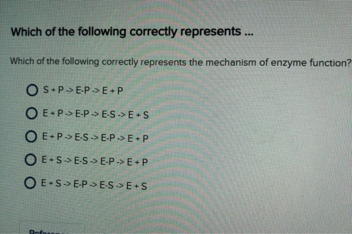 Solved Which of the following correctly represents . Which | Chegg.com Solved Which of the following correctly represents . Which | Chegg.com