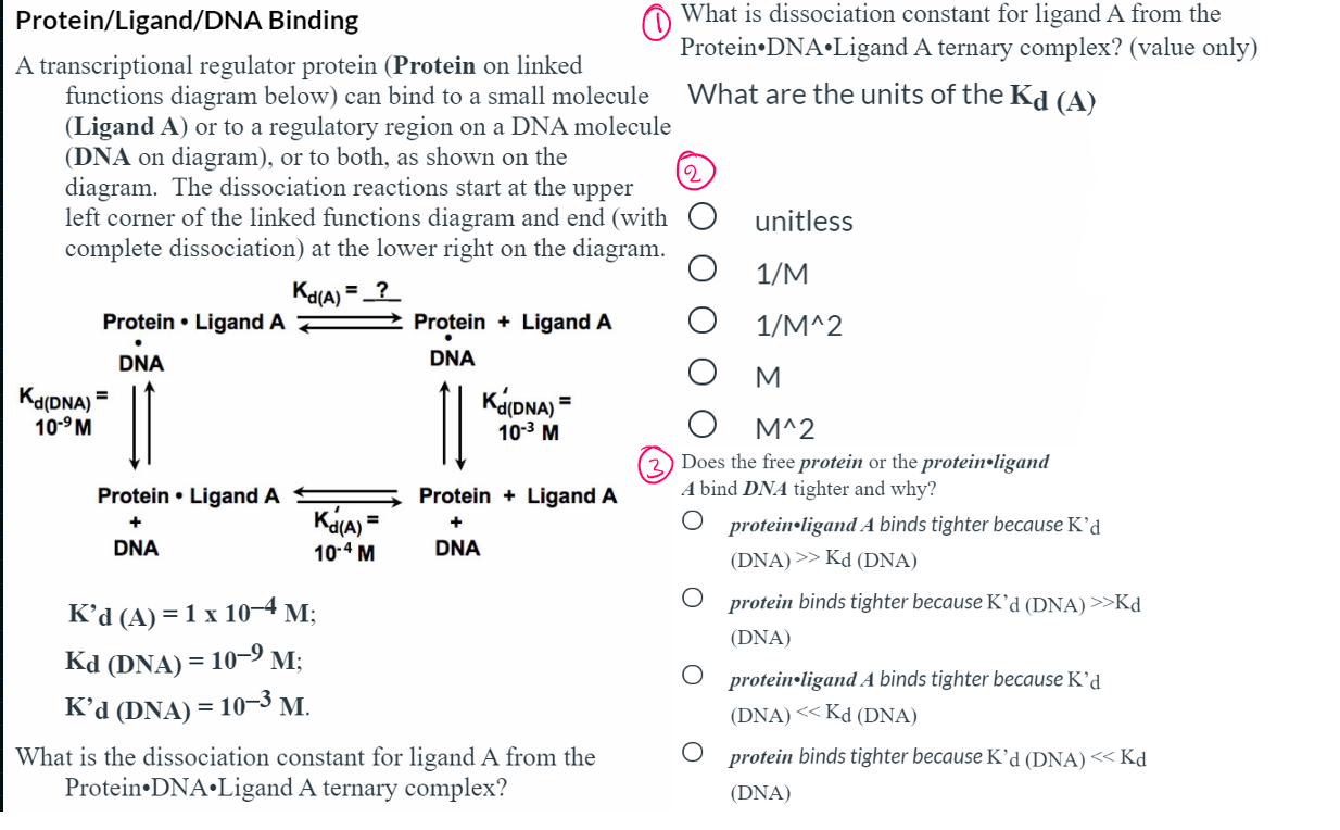 Solved Protein/Ligand/DNA Binding What is dissociation | Chegg.com