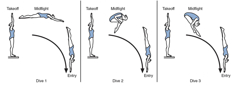 Solved For the pictures below of 3 different dives, check | Chegg.com