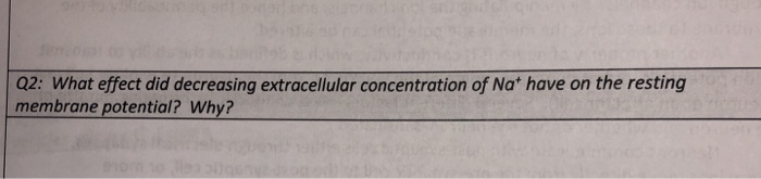 Solved 02: What effect did decreasing extracellular | Chegg.com