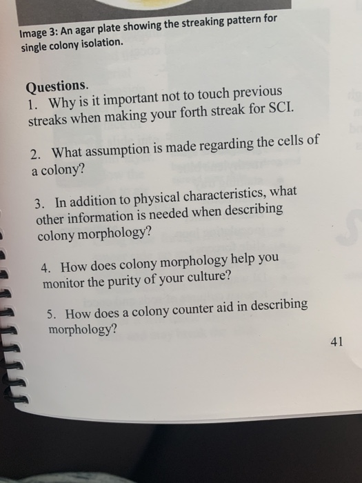 Solved Image 3: An agar plate showing the streaking pattern | Chegg.com