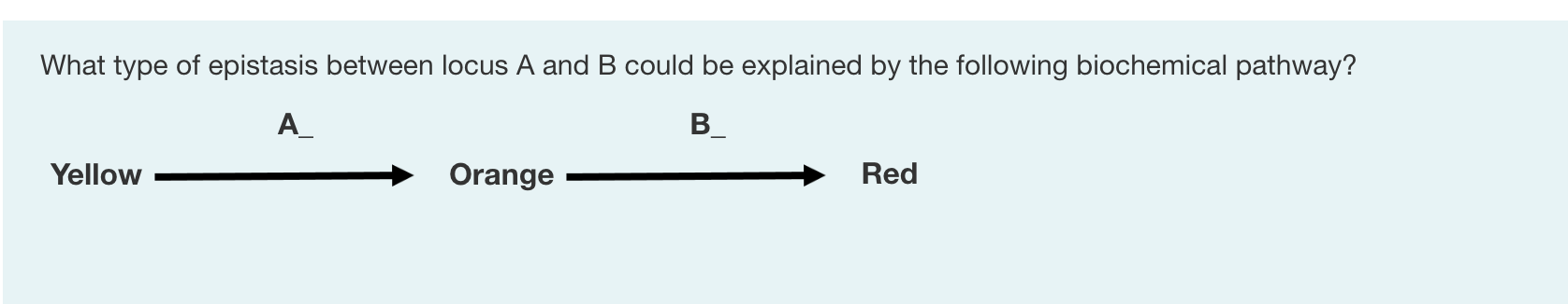 Solved What type of epistasis between locus A and B could be | Chegg.com