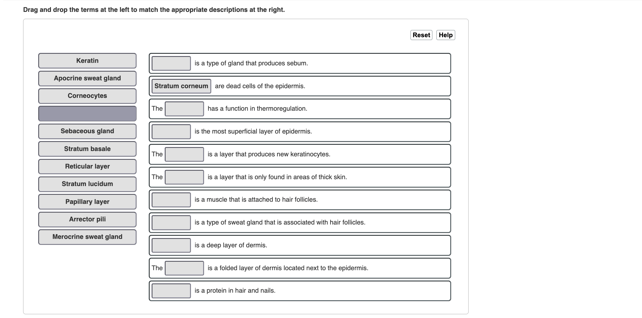 Solved Drag And Drop The Terms At The Left To Match The
