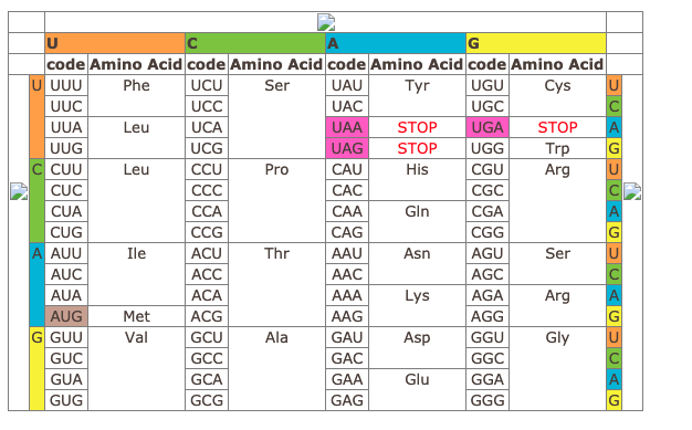 Solved Refer to the genetic code to determine the possible | Chegg.com