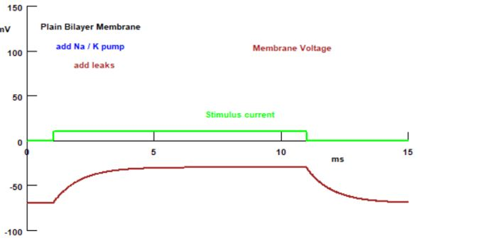 Calculate the theoretical time constant, tau, for the | Chegg.com