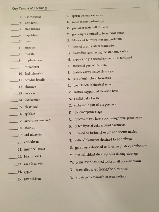 Solved Key Terms Matching 1. 1st trimester A. sperm | Chegg.com