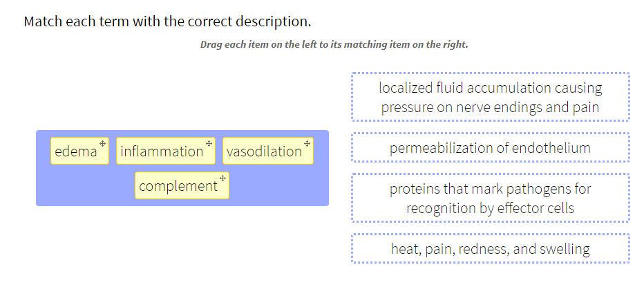 Solved Match each term with the correct description. Drag | Chegg.com