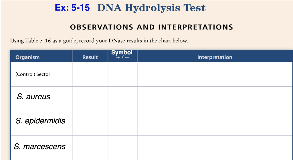 Solved Ex: 5-15 DNA Hydrolysis Test OBSERVATIONS AND | Chegg.com