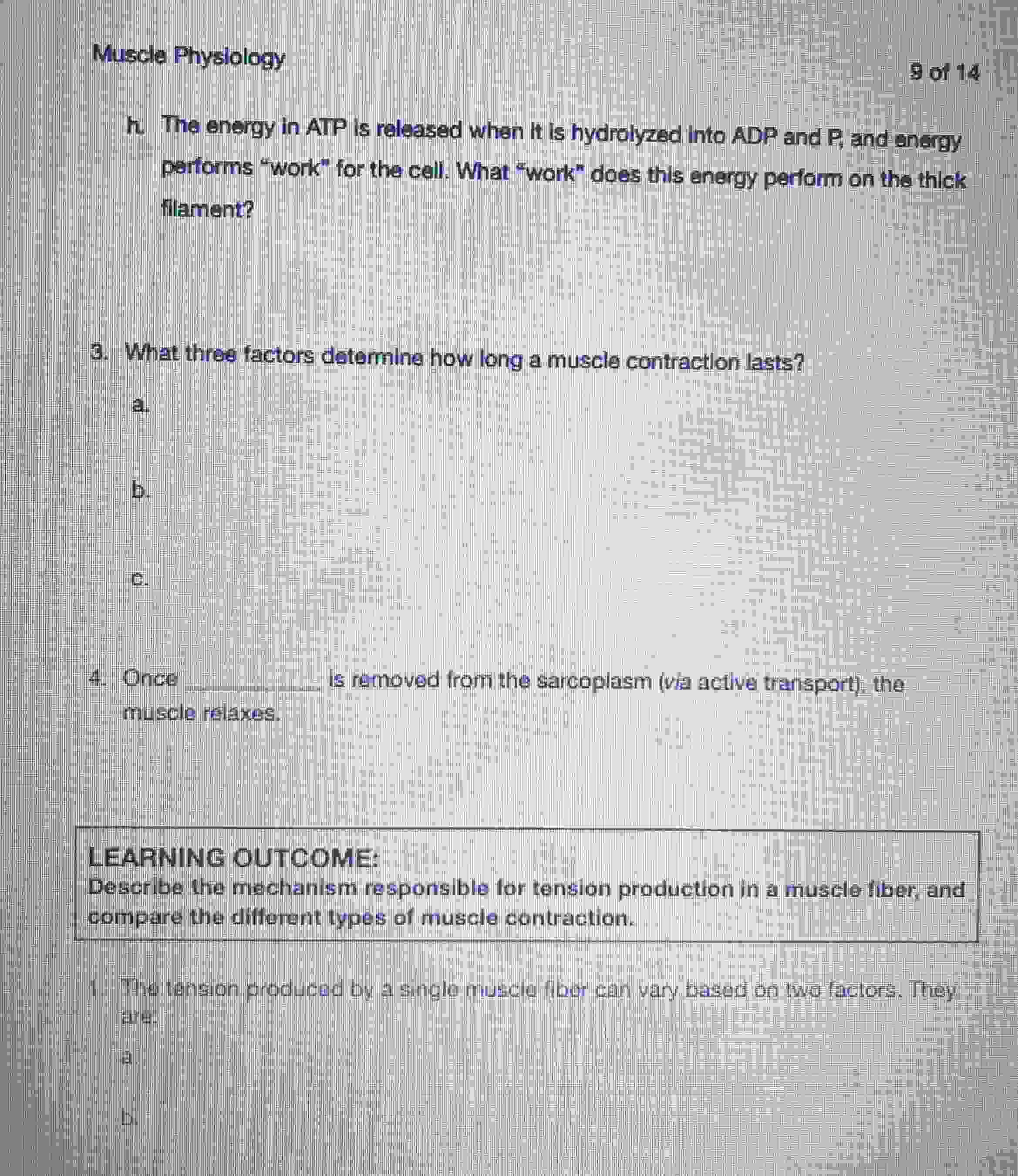 Solved Muscle Physiology9 of 14h ﻿The energy in ATP is | Chegg.com