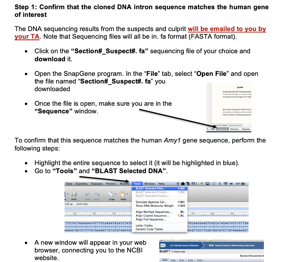 Descriptions Graphic Summary Alignments Taxonomy | Chegg.com