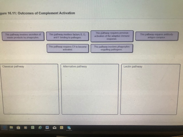 Solved Microbiology Methods of Complement Activation There | Chegg.com