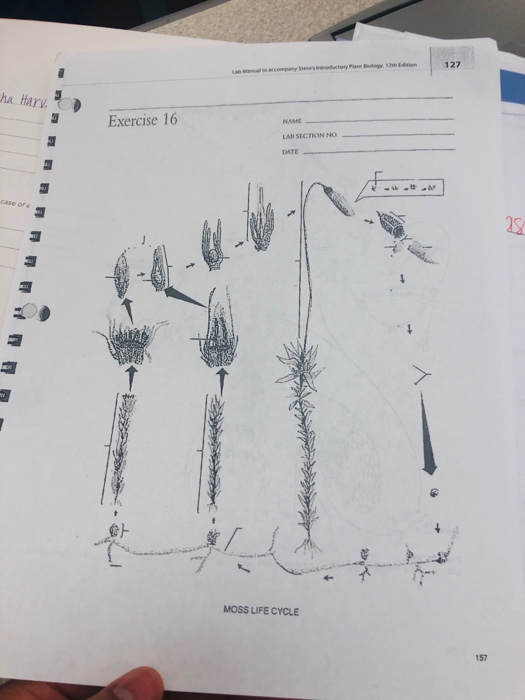 Solved 127 Exercise 16 NAME LAB SECTION NO DATE case of e | Chegg.com