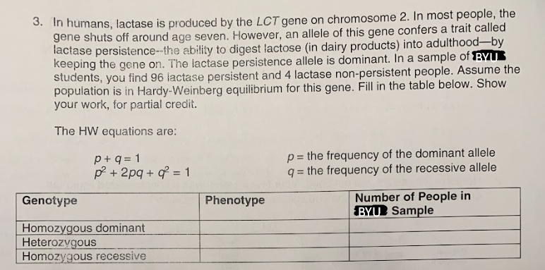 Solved 3. In humans, lactase is produced by the LCT gene on | Chegg.com